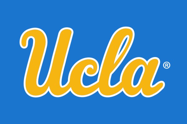 Framed UCLA Flag - Framed Favorites